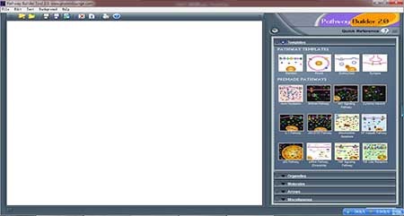 Pathway builder tool for Win 绘制信号通路图软件 下载及安装使用教程_学术FUN