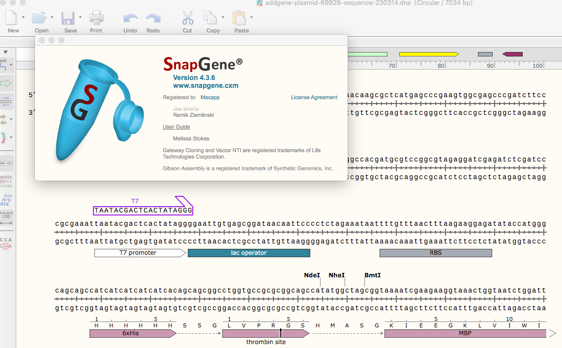 SnapGene 4.3.6 for Mac/Win 分子生物学软件 最完美稳定版 附详细视频安装教程_学术FUN